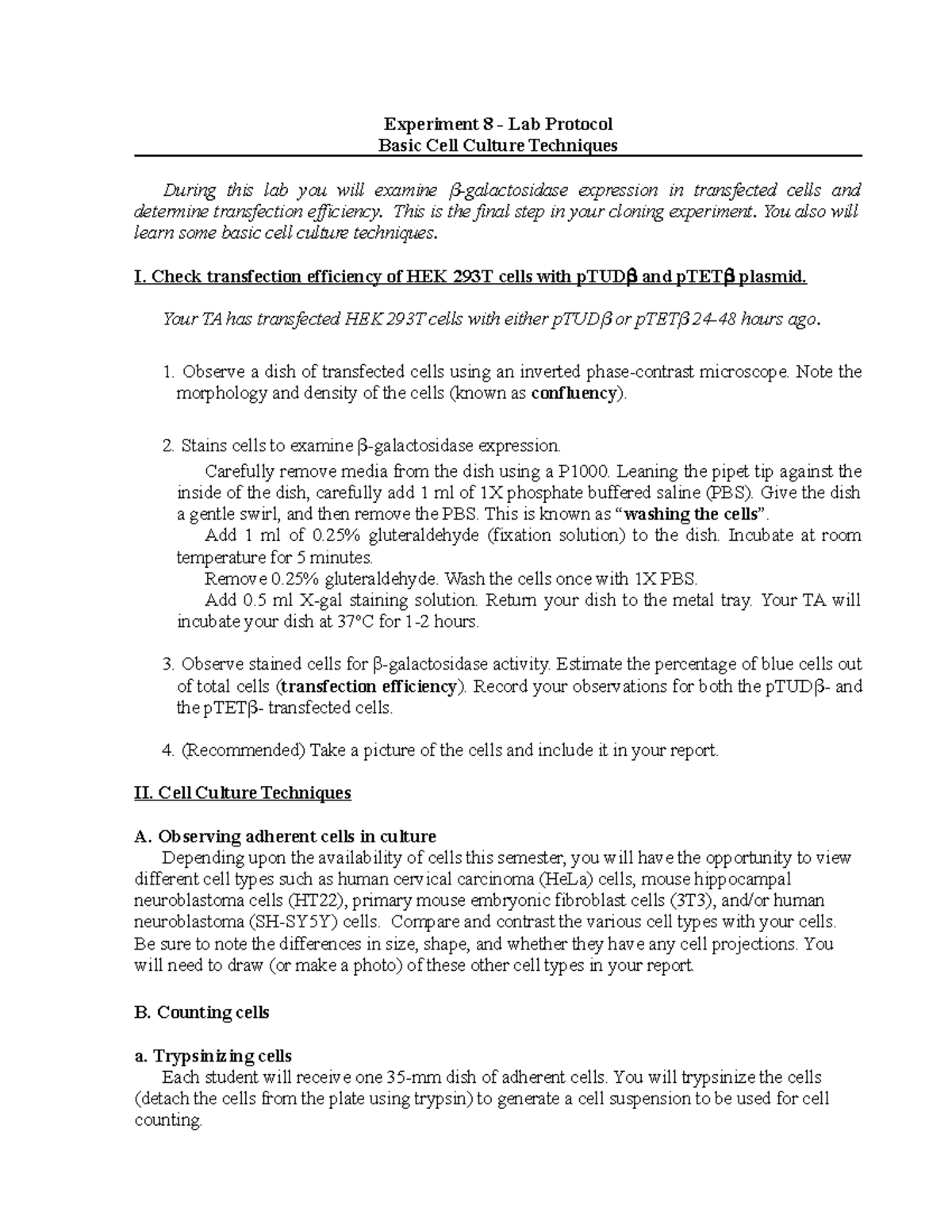 4380 Lab 8 protocol S17 - Mandatory lab report required to be turned it ...