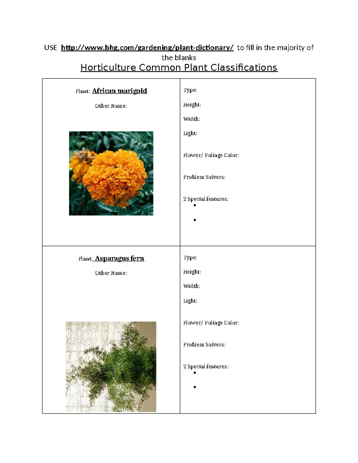 Horticulture Common Plant Classification IDBooklet - USE bhg/gardening ...