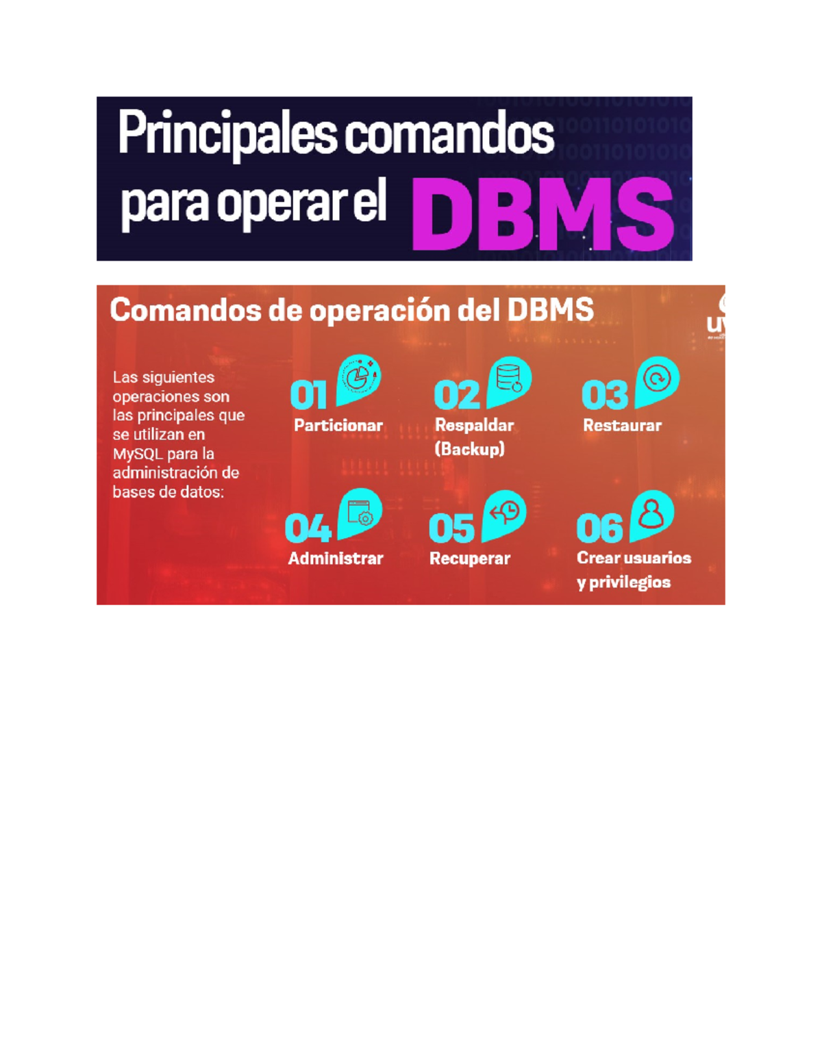 Principales Comandos para Operarar DBMS - Administración de Bases de Datos - - Studocu