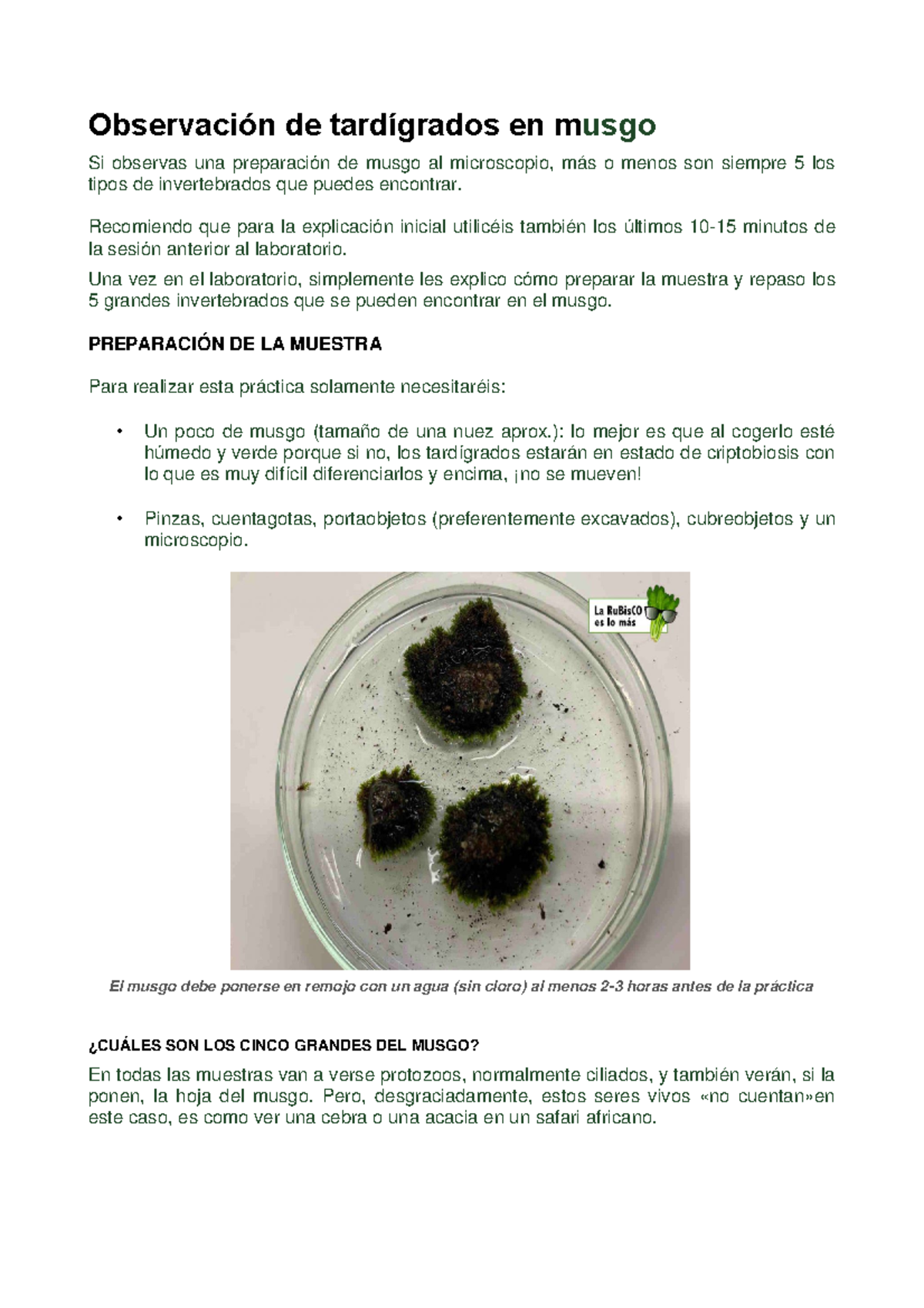 Safari microscópico en el musgo - Observación de tardígrados en musgo ...