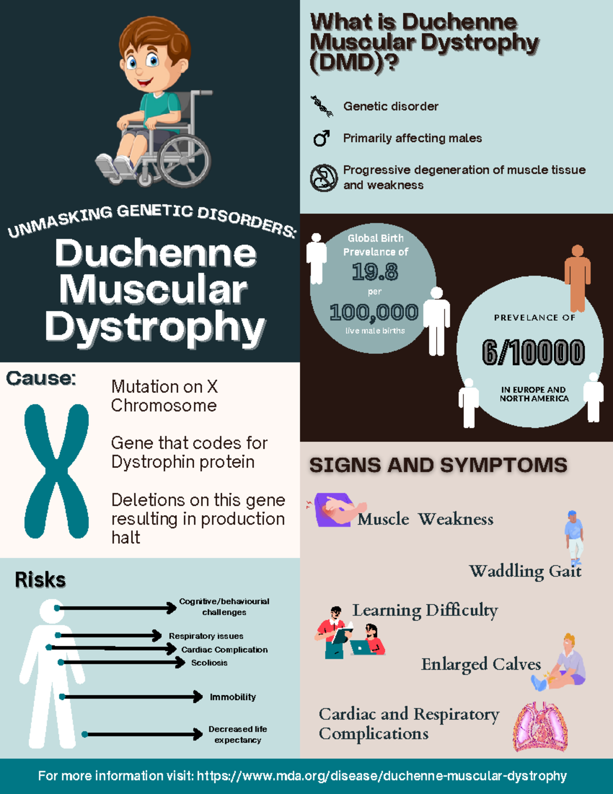 Dushcenne Muscular Dystrophy Infographic - U N M A S K I N G G ENETIC D ...