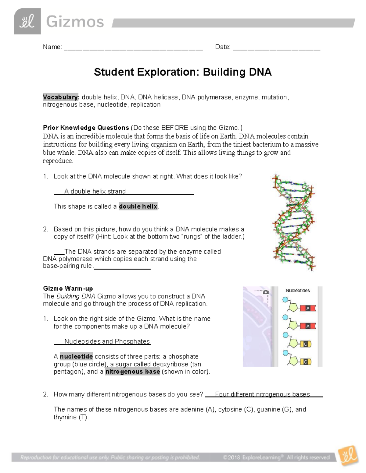 Building Dnase - Gizmos - Name ...