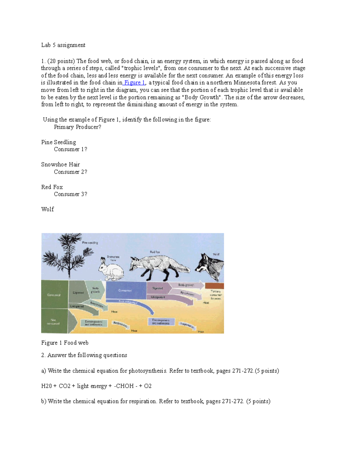 Lab 5 assignment - Lab 5 - Lab 5 assignment (20 points) The food web, or food chain, is an ...