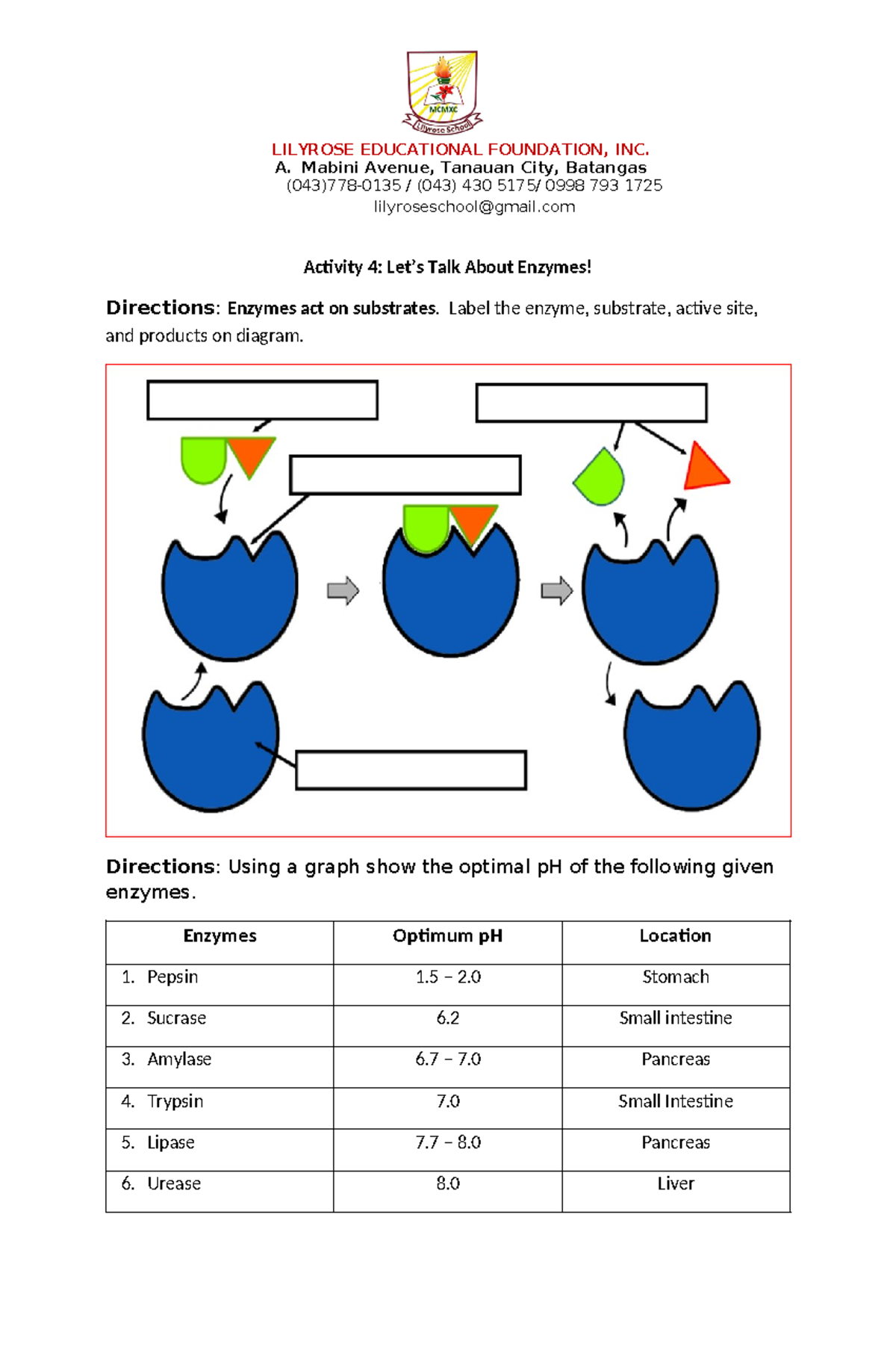 Activity 4- Let's Talk About Enzymes - LILYROSE EDUCATIONAL FOUNDATION ...