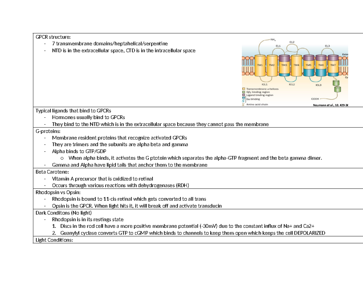 Advanced Cell Bio Lecture 3 Review sheet - GPCR structure: - 7 ...