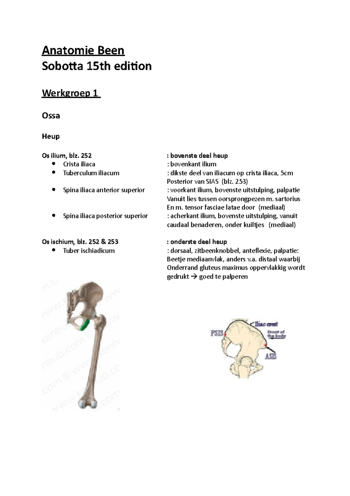 Anatomie Been deeltoets 1 in vivo - Anatomie Been Sobotta 15th edition ...