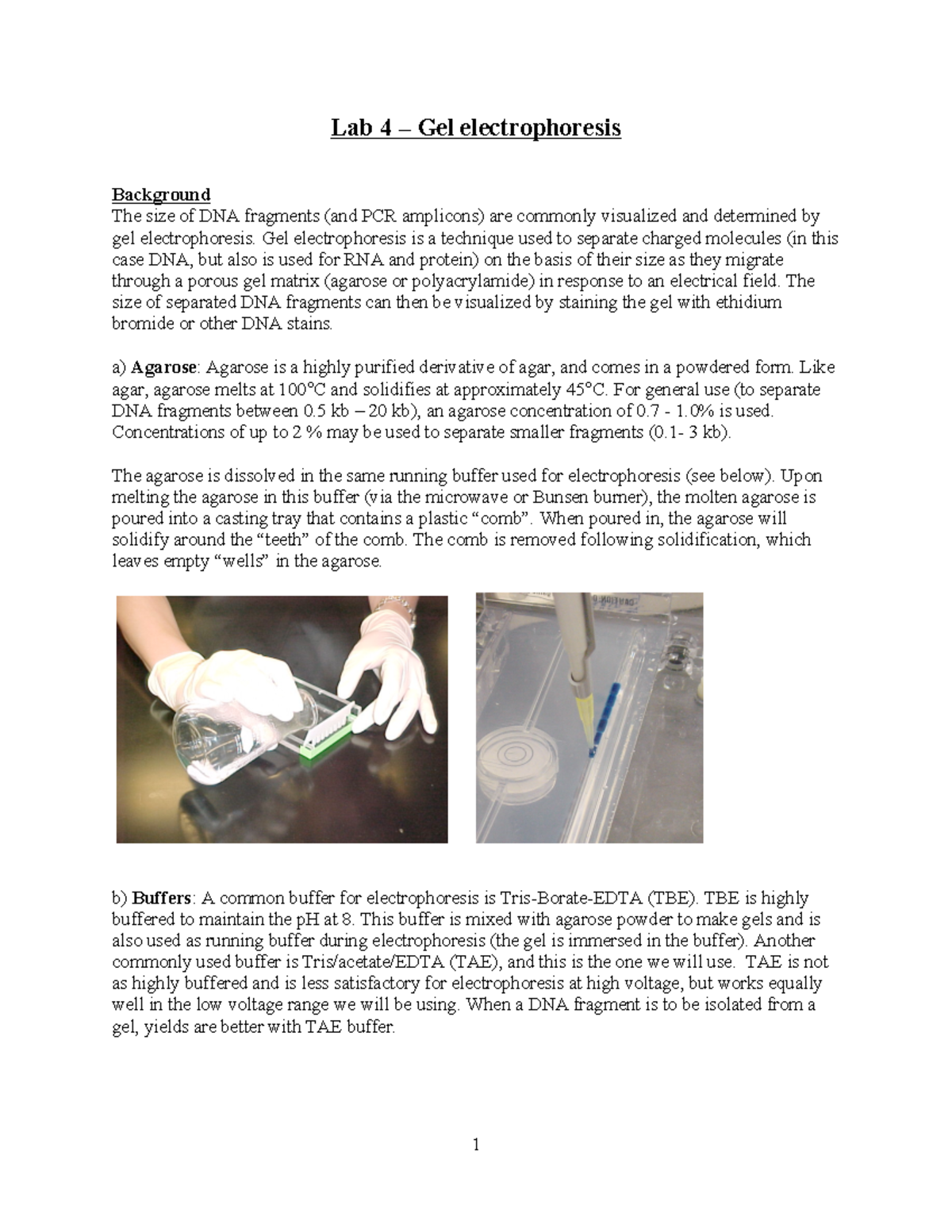 Lab 3 Handout on Electrophoresis - 1 Lab 4 – Gel electrophoresis ...