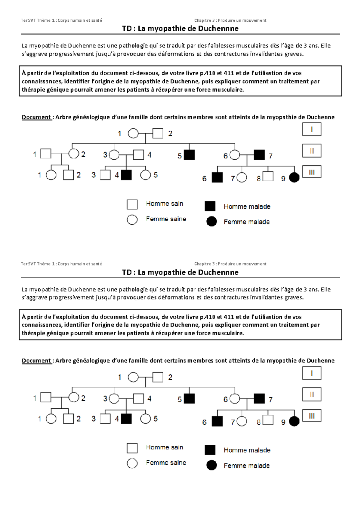 T1 C3 TD - je sais pas quoi décrire lol - Ter SVT Thème 1 : Corps ...