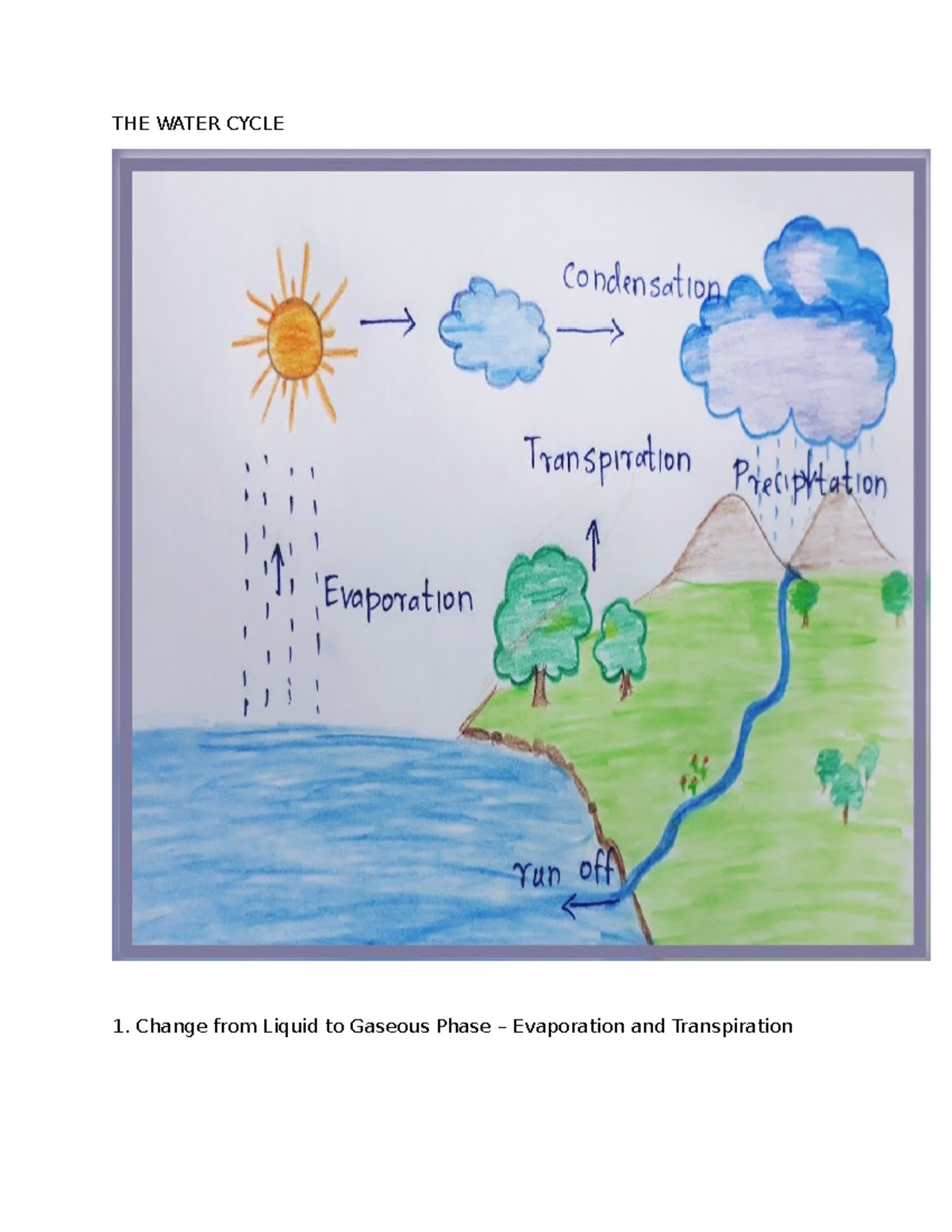 THE Water Cycle - THE WATER CYCLE Change from Liquid to Gaseous Phase ...