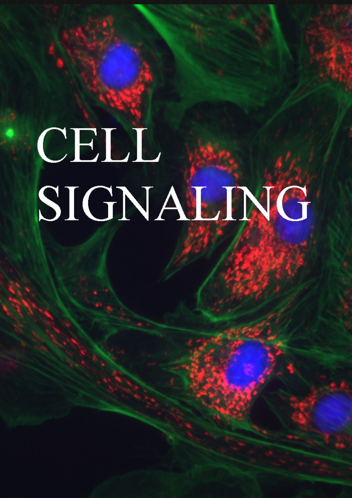 Cell Signaling Notes - Summary Cellular and developmental physiology ...