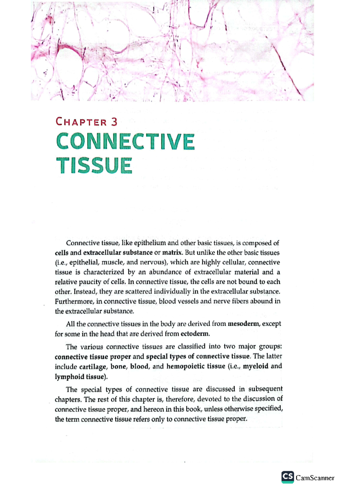 Chapter 3 Connective Tissues - Medical Technology - Studocu