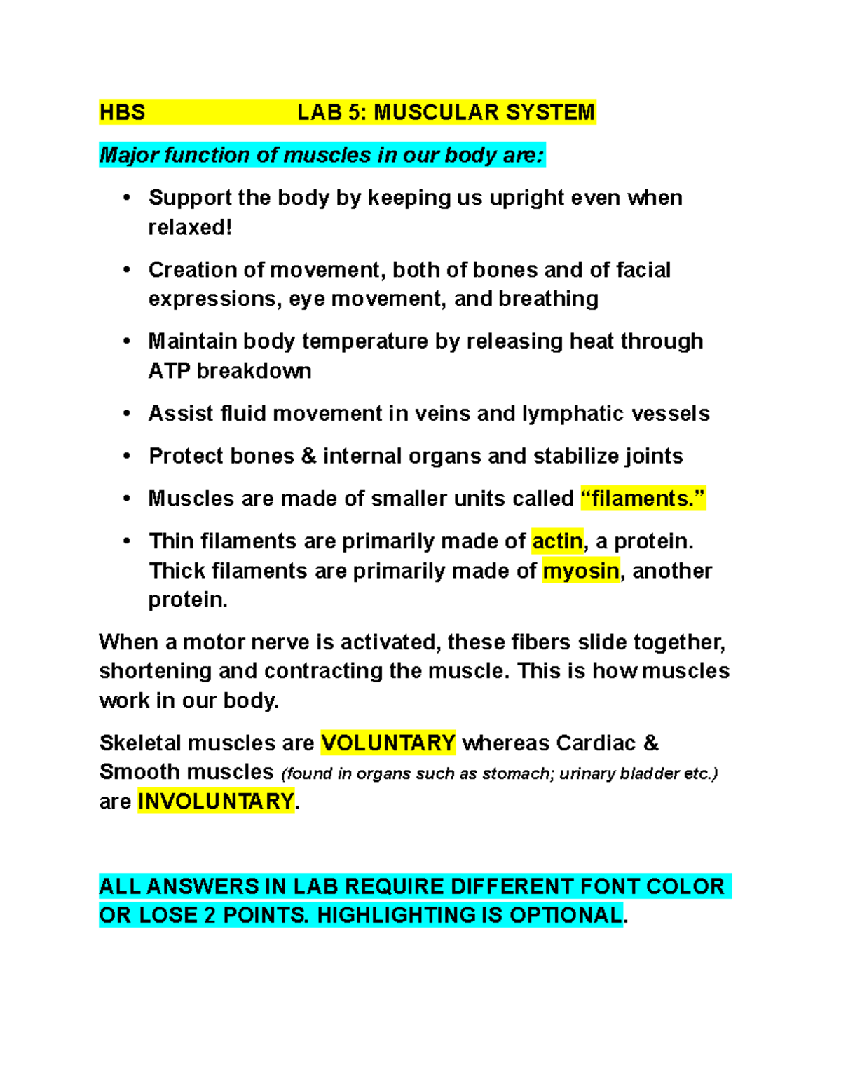 Lab 5 Muscular System - HBS LAB 5: MUSCULAR SYSTEM Major function of ...