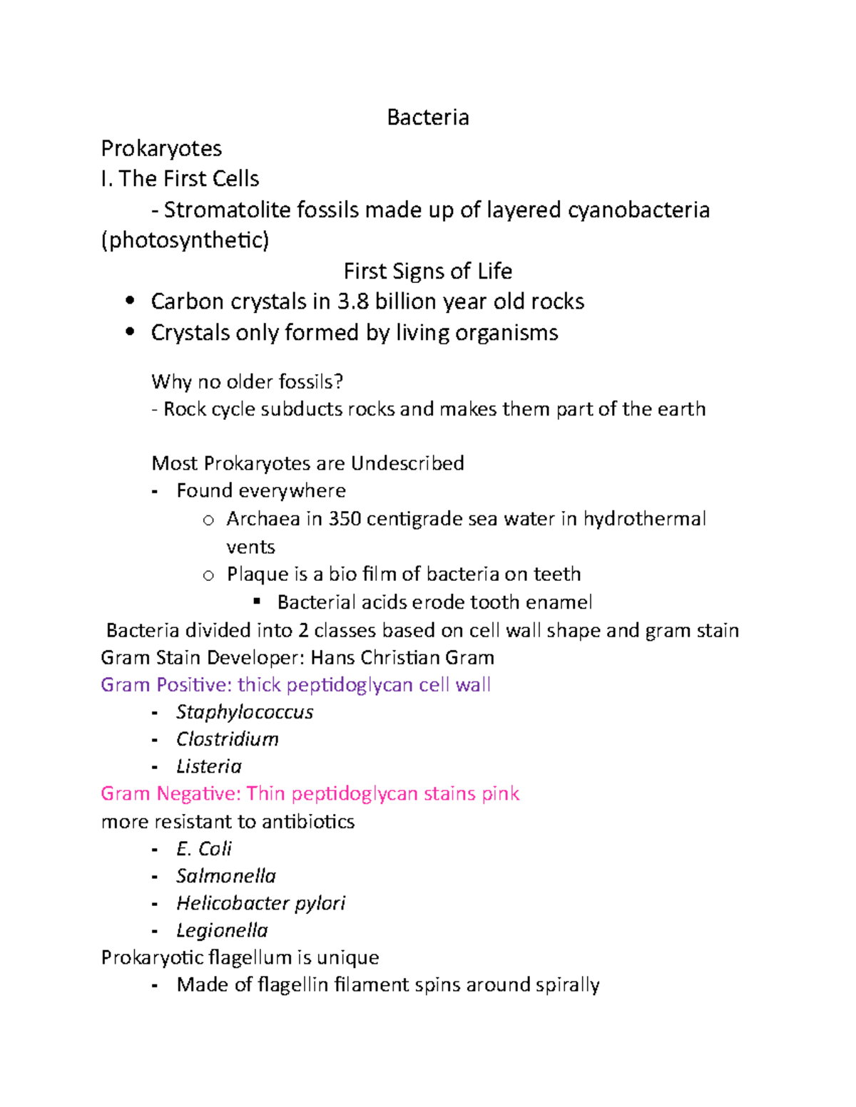 Prokaryotes - LECTURE NOTES - Bacteria Prokaryotes I. The First Cells ...