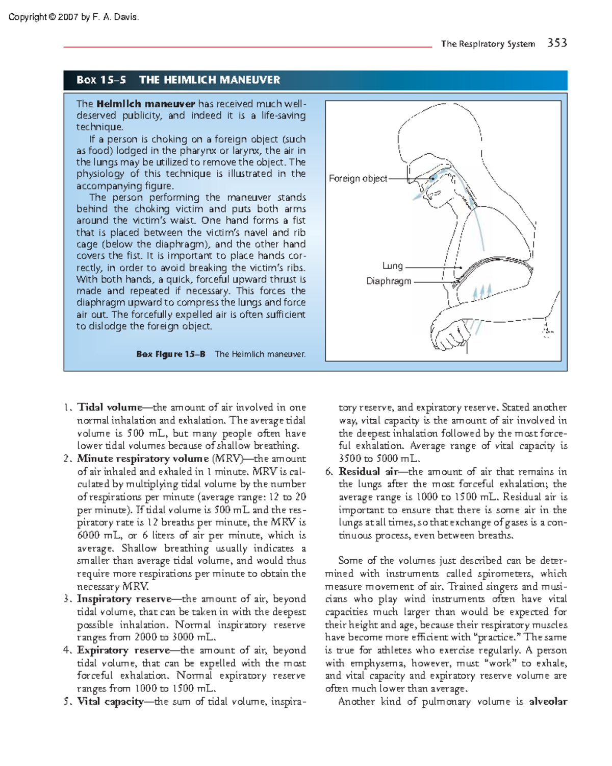 Essentials of Anatomy and Physiology 380 - Tidal volume—the amount of ...