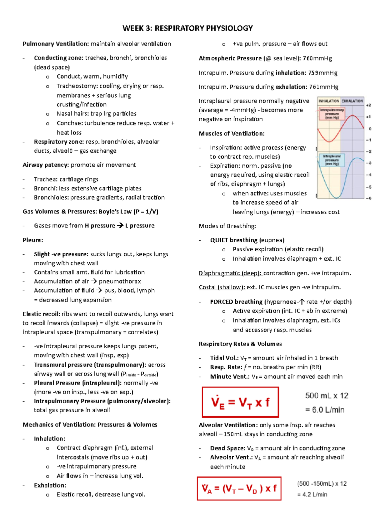 RM Wk3 Summary - WEEK 3: RESPIRATORY PHYSIOLOGY Pulmonary Ventilation ...