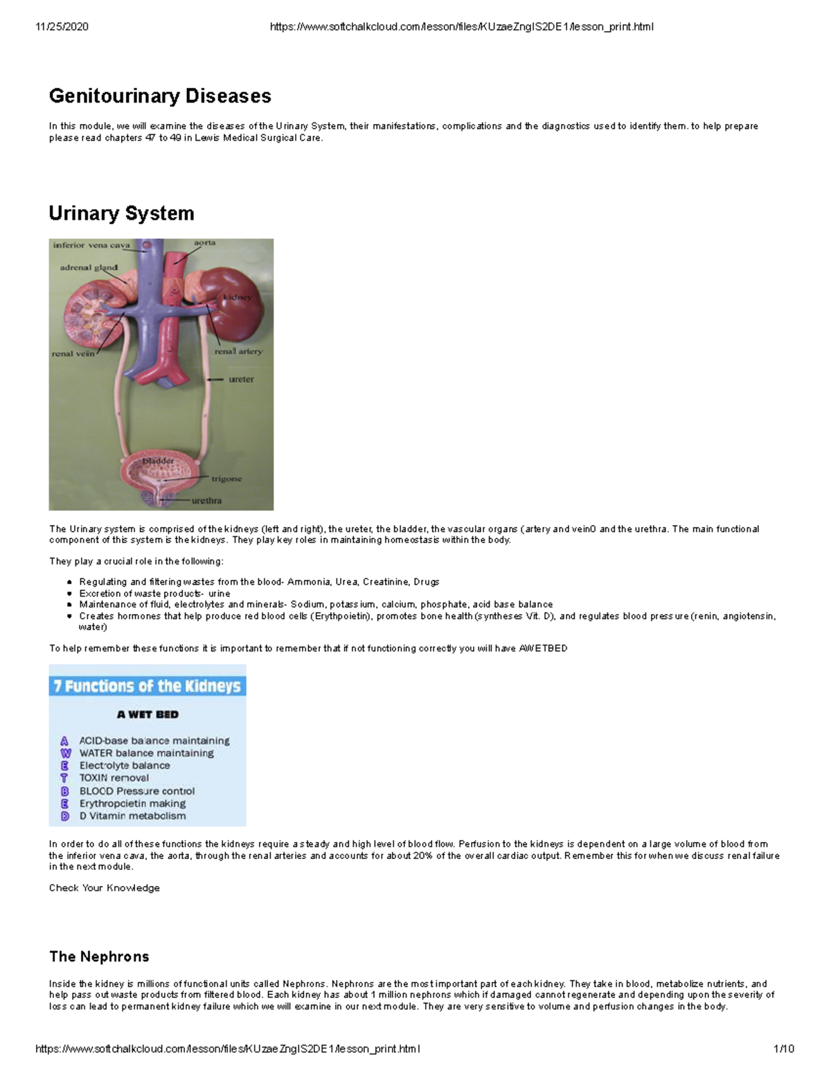 Lesson print - Genitourinary Diseases In this module, we will examine ...