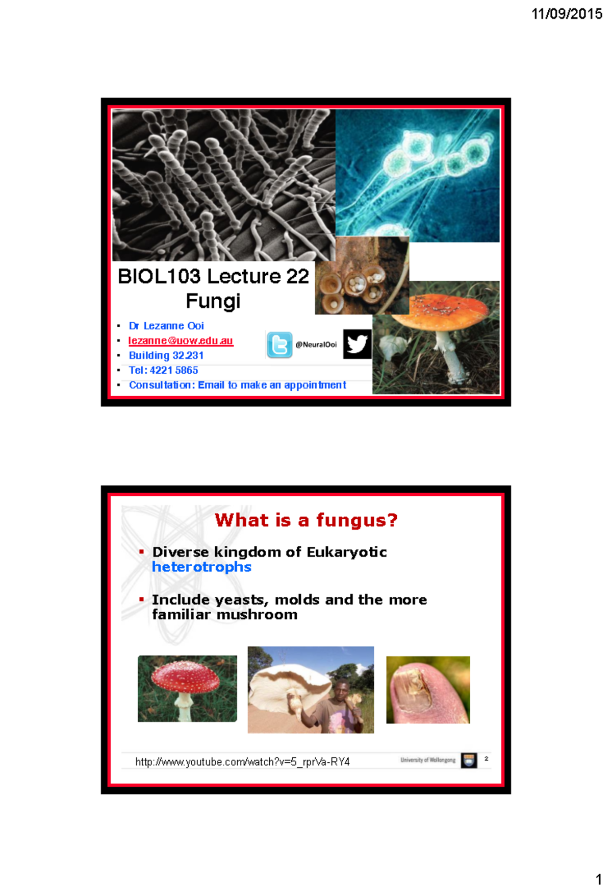 L22 Fungi - Lecture notes 22 - BIOL103 Lecture 22 Fungi Dr Lezanne Ooi ...