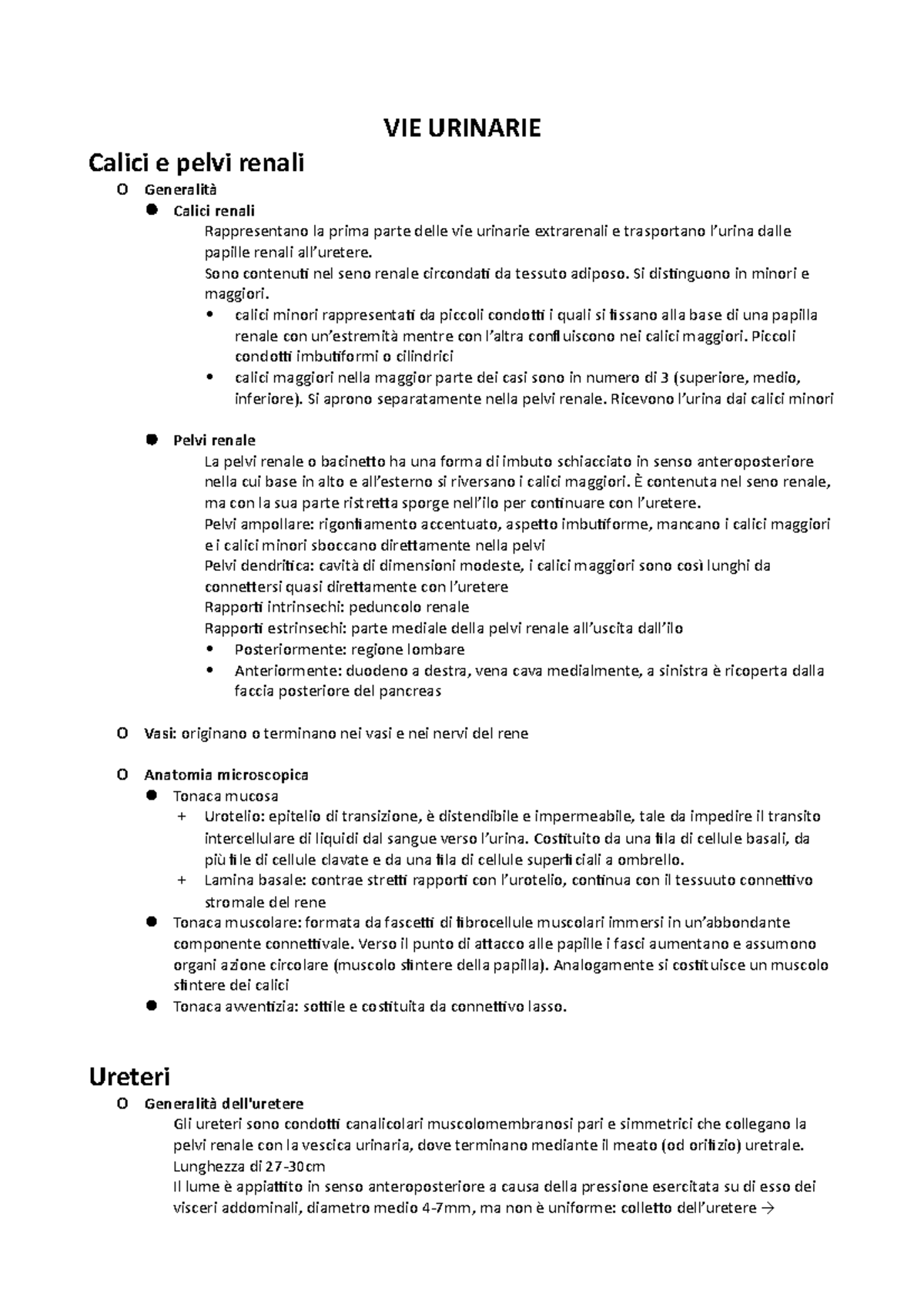 Apparato urinario: Vie urinarie - VIE URINARIE Calici e pelvi renali O ...
