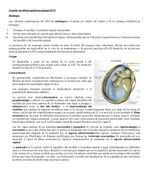 Teoría Neuropsicológica DE Luria - TEORÍA NEUROPSICOLÓGICA DE LURIA La ...