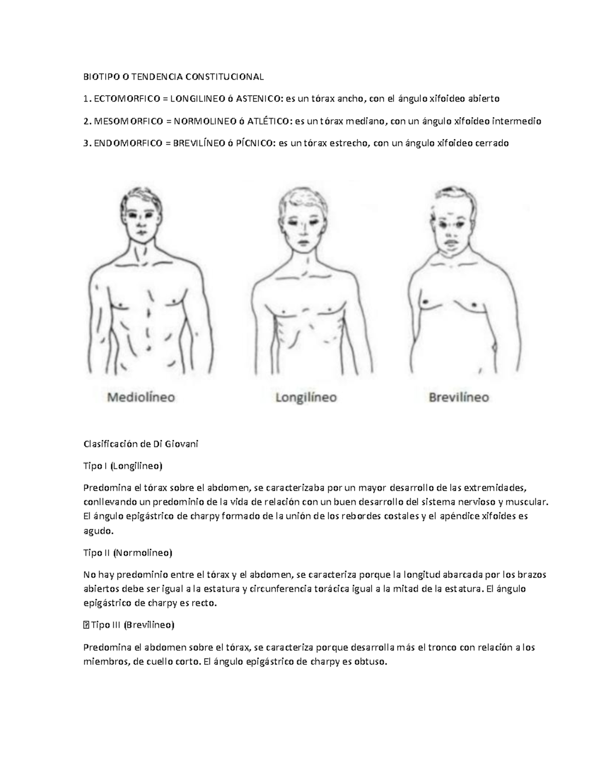 Tipos de torax y diagnosticos - BIOTIPO O TENDENCIA CONSTITUCIONAL ...