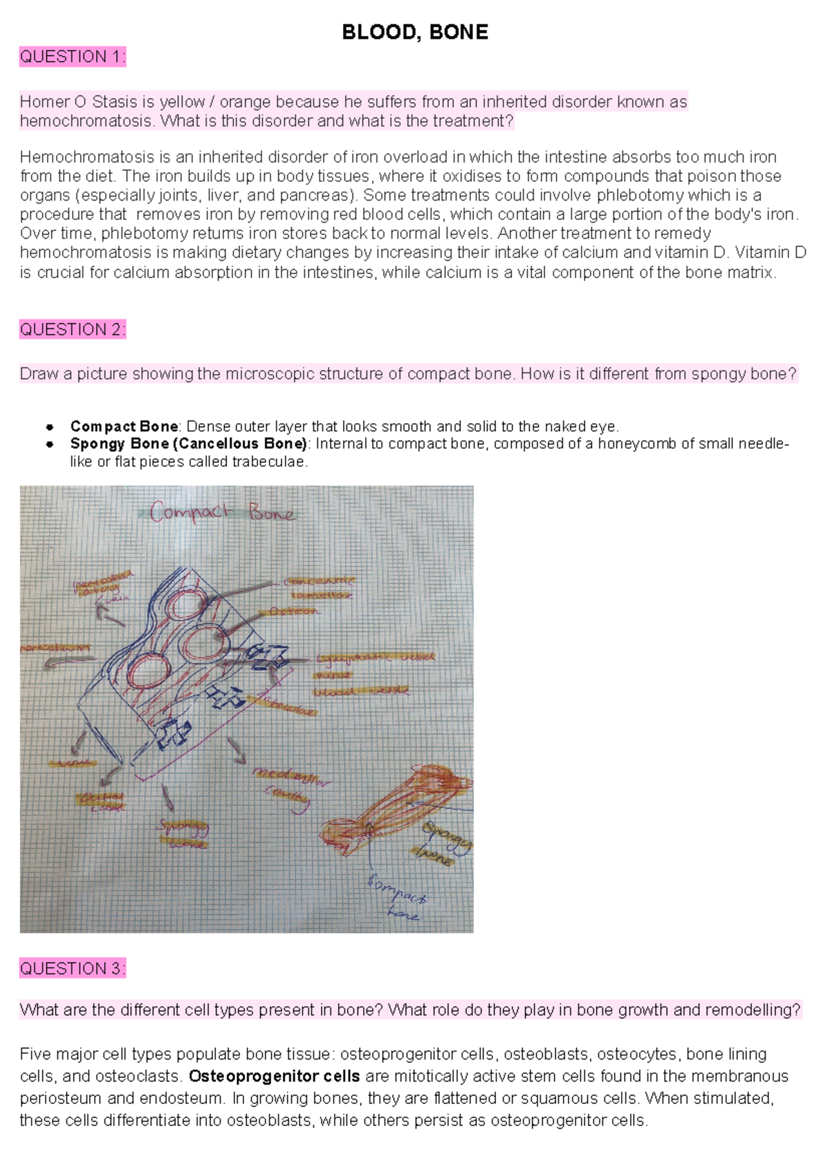 Week 5 - tutorial questions - BLOOD, BONE QUESTION 1: Homer O Stasis is ...