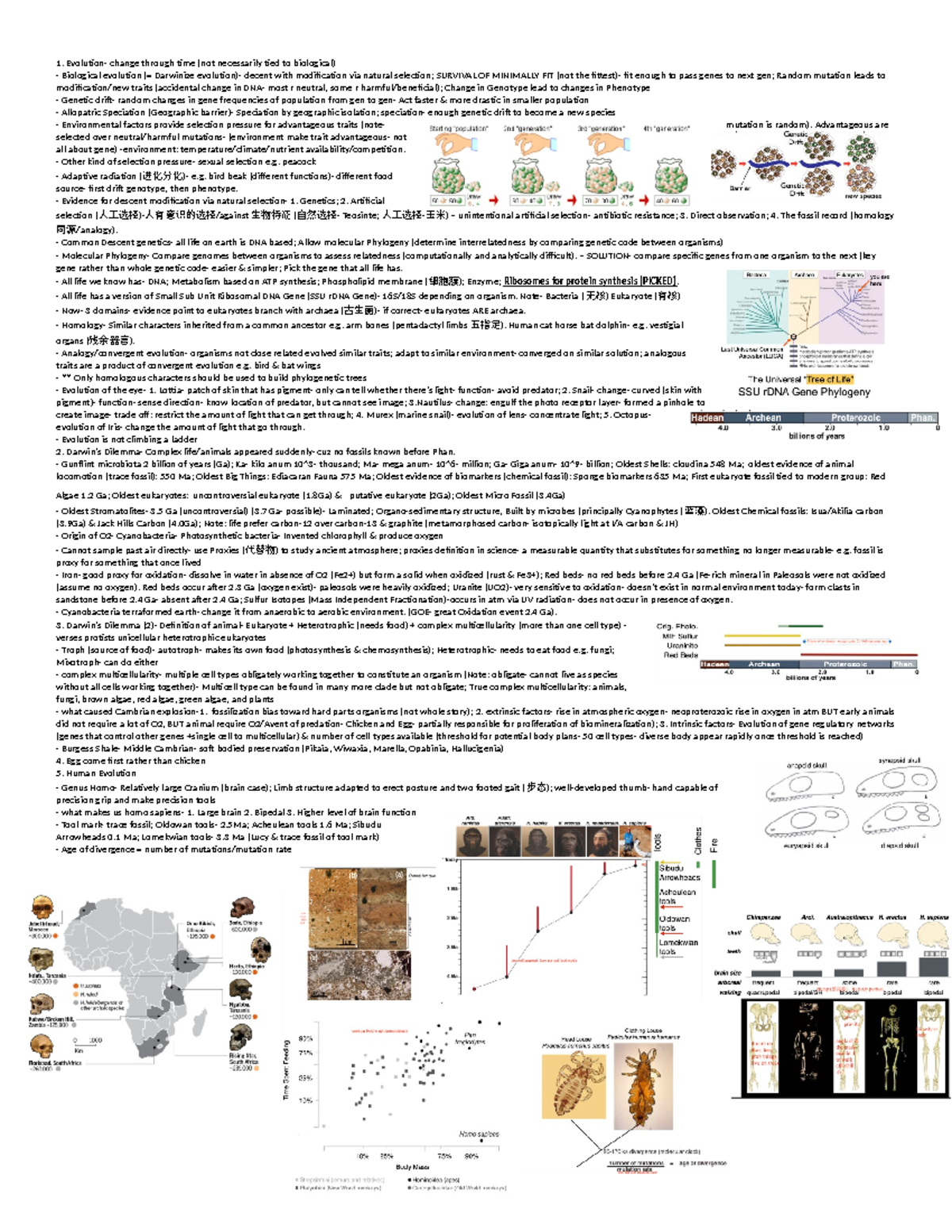Geo cheatsheet 2 - Evolution- change through time (not necessarily tied ...