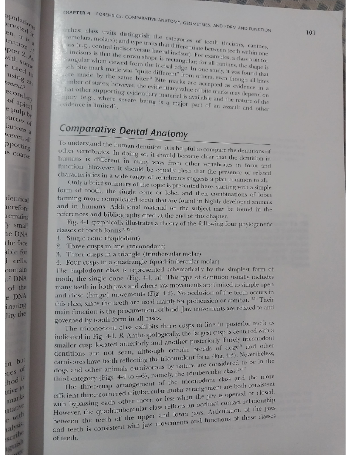 20221113 2005 44 - Forensic comparative anatomy, geometries, and form ...