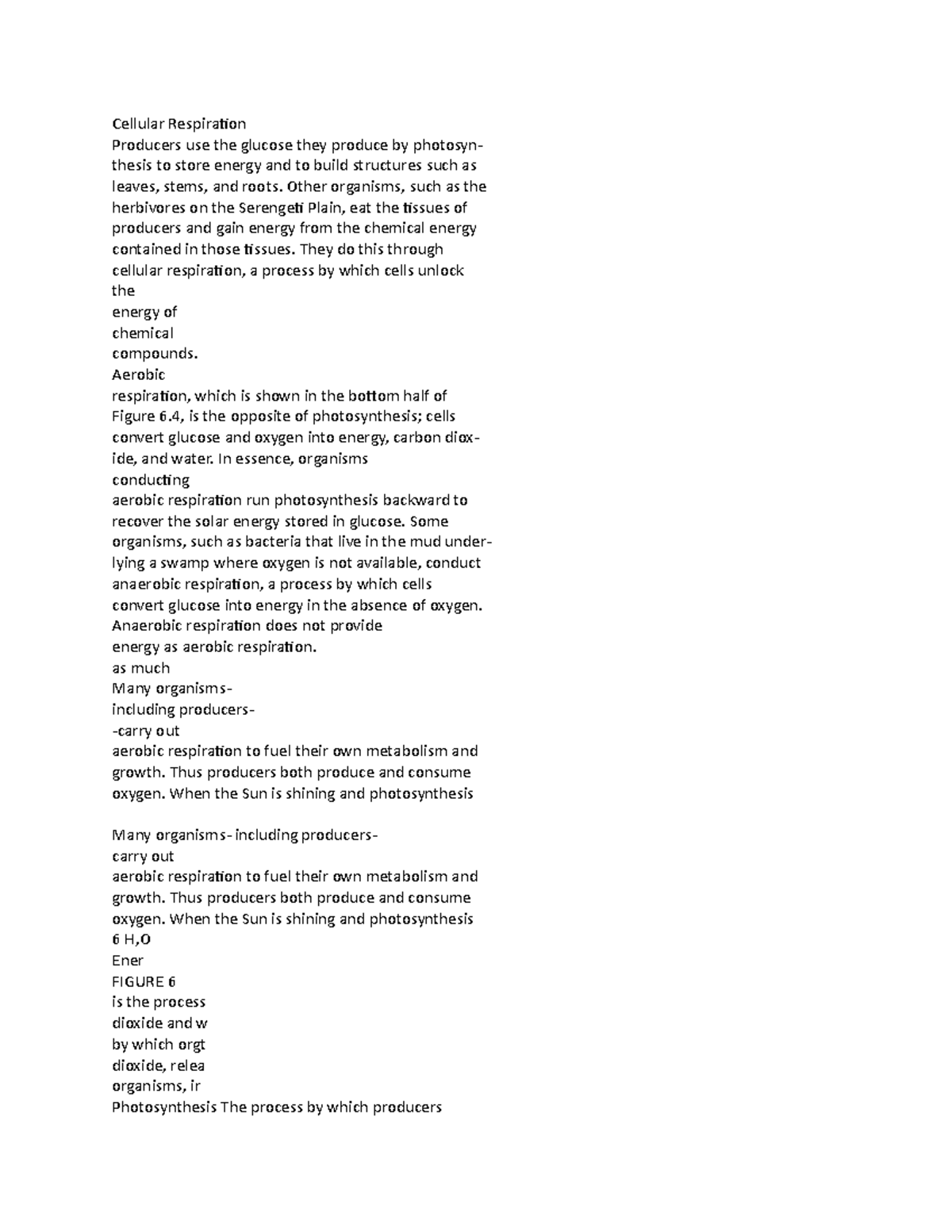 Short 5 - Aerobic respiration, anaerobic respiration, consumers versus ...