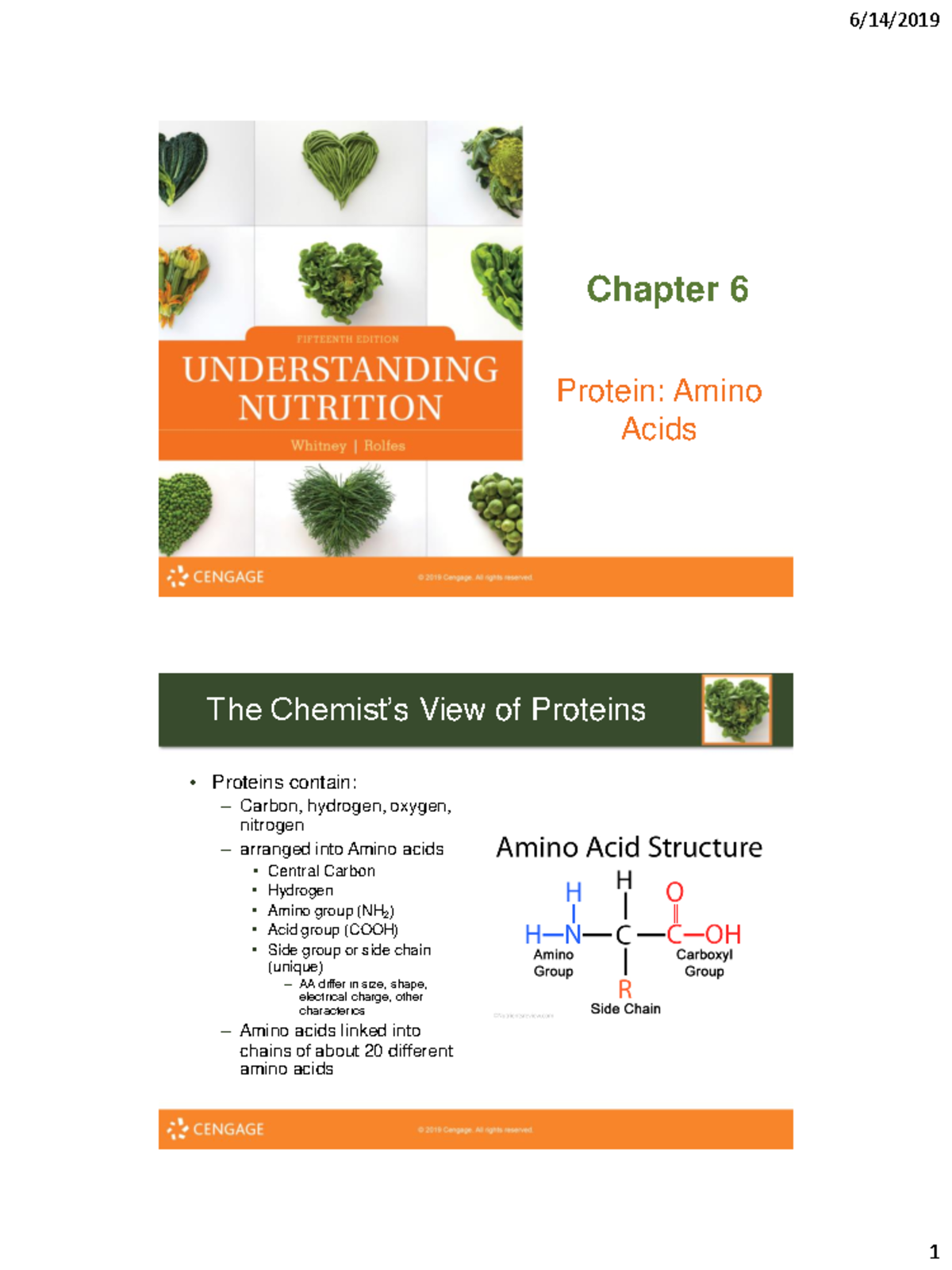 NFS141Chapter 6Powerpoint Summer 2019 Slidespdf - Chapter 6 Protein ...