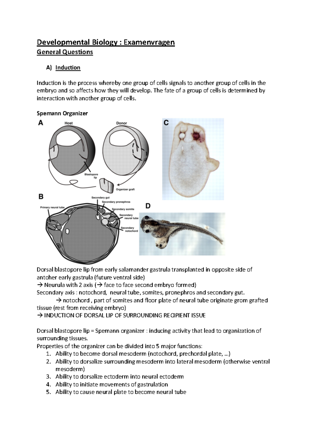 Developmental-Biology - Developmental Biology : Examenvragen General ...