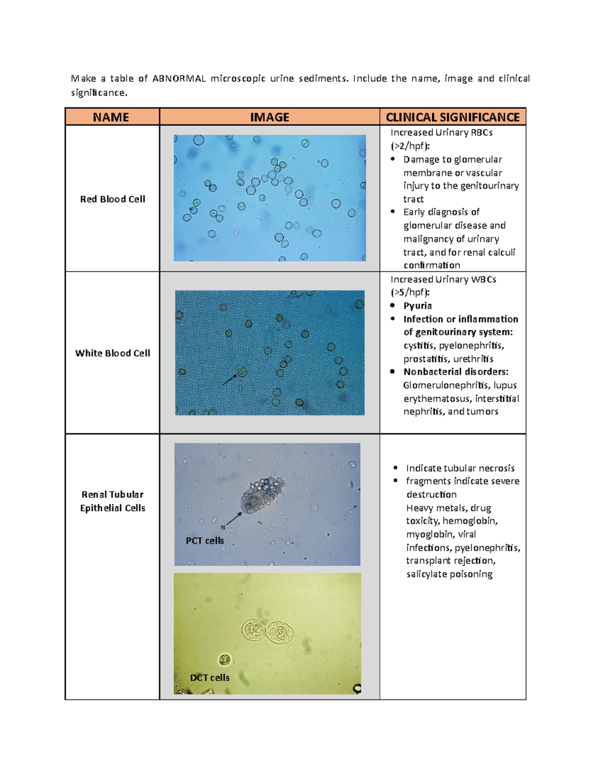 BSMT2B - Rivera, GIO TREB - Abnormal Urine Sediments - analysis of ...