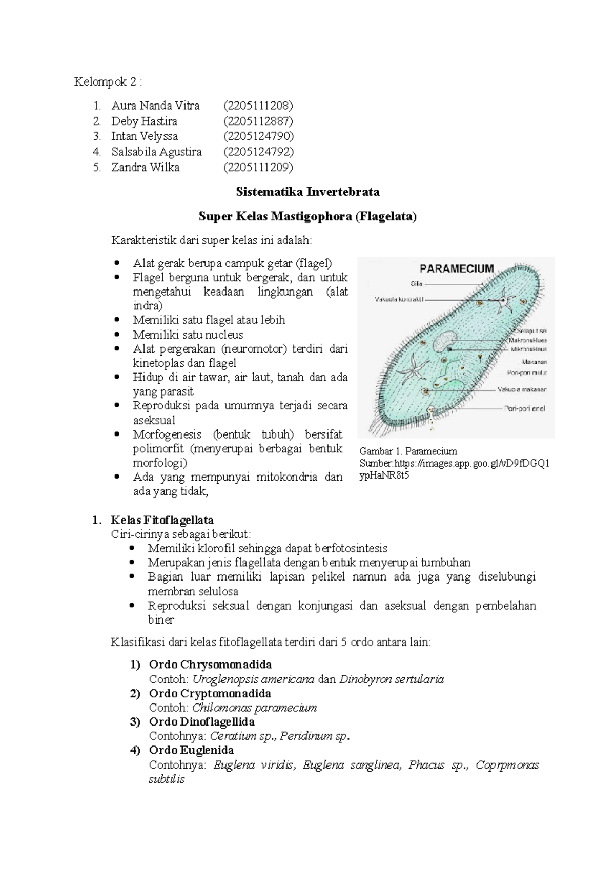 K2- Mastigophora - Shdhd - Kelompok 2 : Aura Nanda Vitra (2205111208 ...