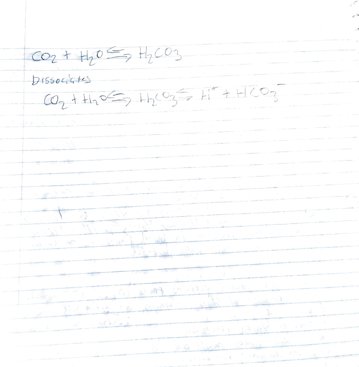 Adobe Scan Sep 16, 2024 - lecture exam 1 hw - BIO 133 - H2OE H2CO3 ...