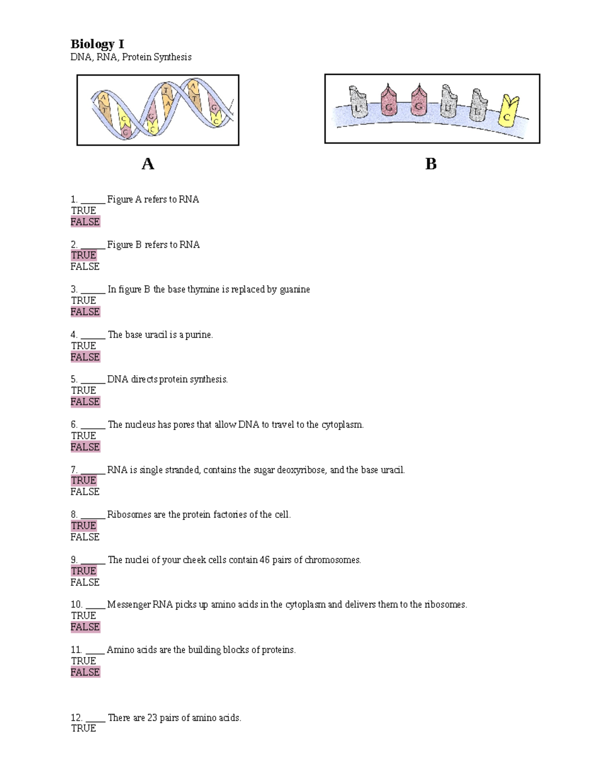 Ashlee Jackson - Review of DNA, RNA - Biology I DNA, RNA, Protein ...