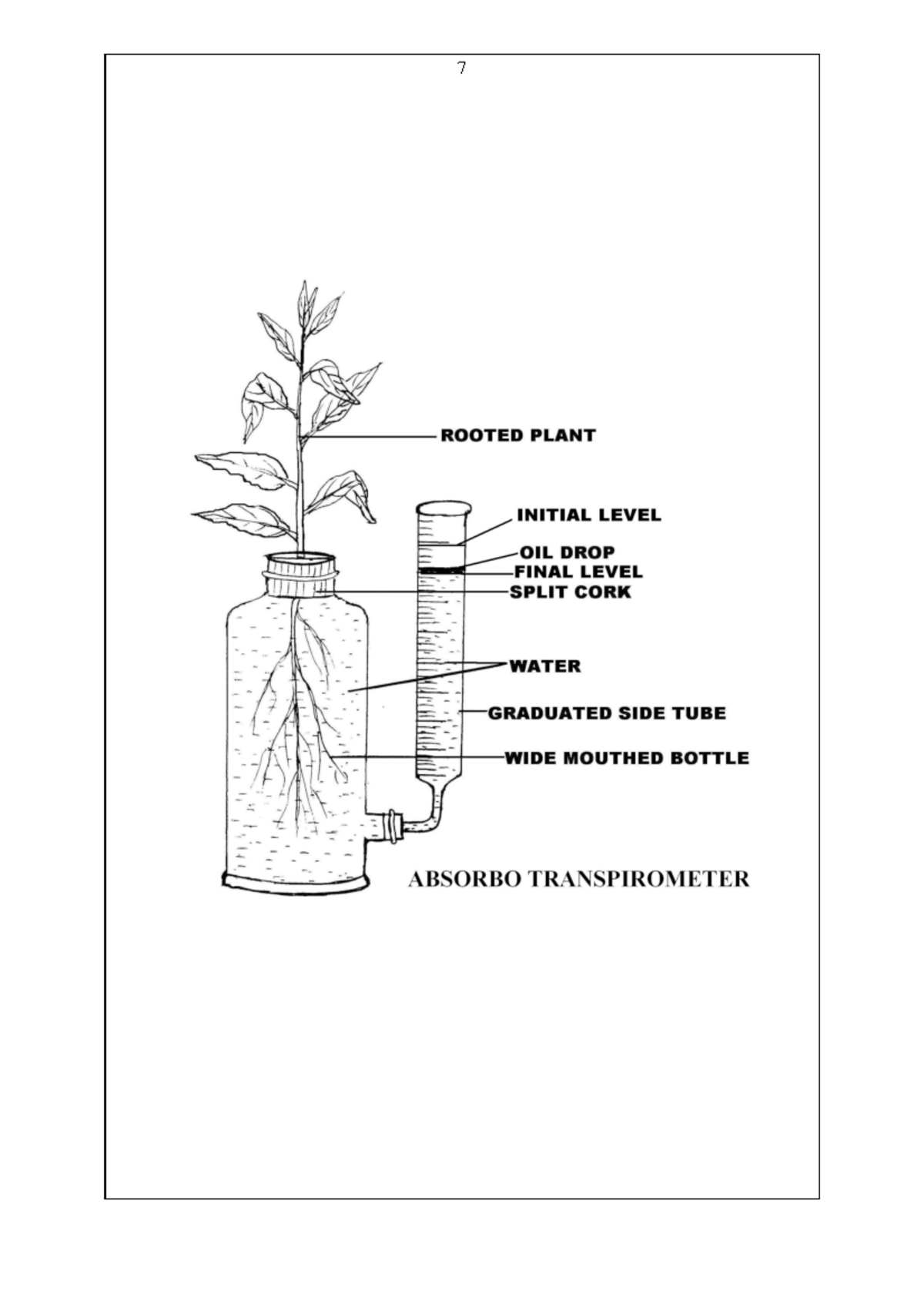 Physiology - Expt 4 - It is practical material - 8 Experiment: 4 ...
