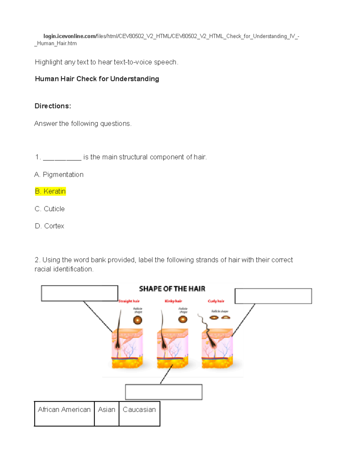 Human Hair Assessment - Hair Assesment - - Studocu