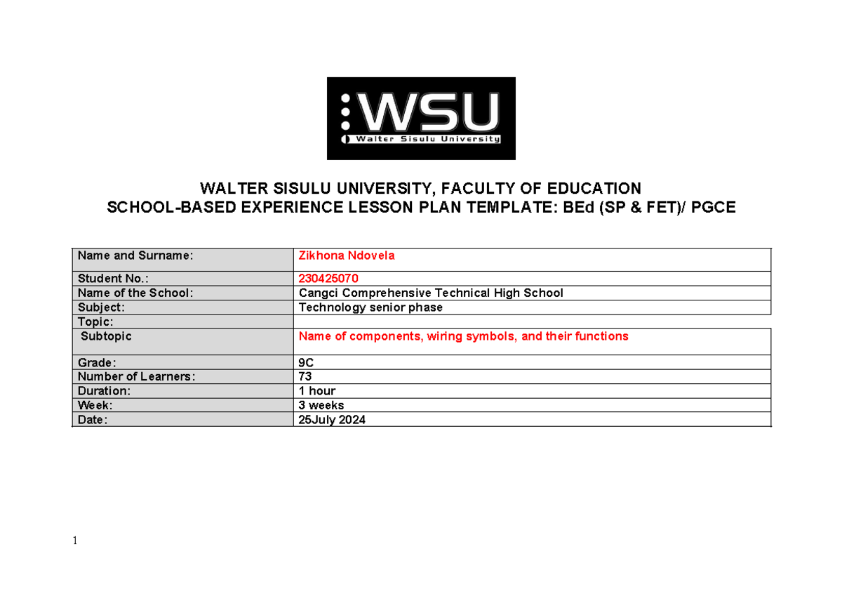 2024 SBE Lesson PLAN Template (003) multimeter 1 - WALTER SISULU ...