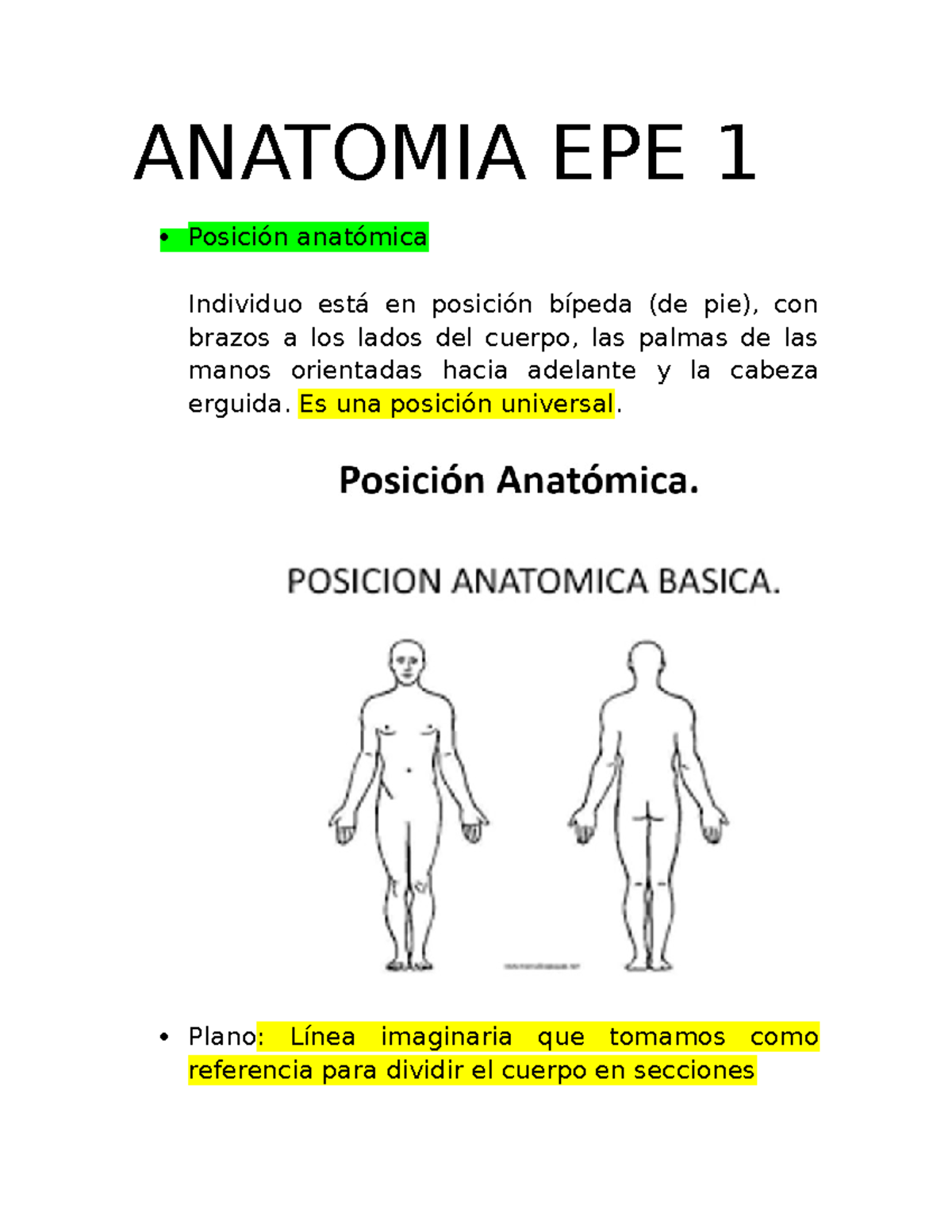 Anatomia EPE 1 materia - ANATOMIA EPE 1 Posición anatómica Individuo ...