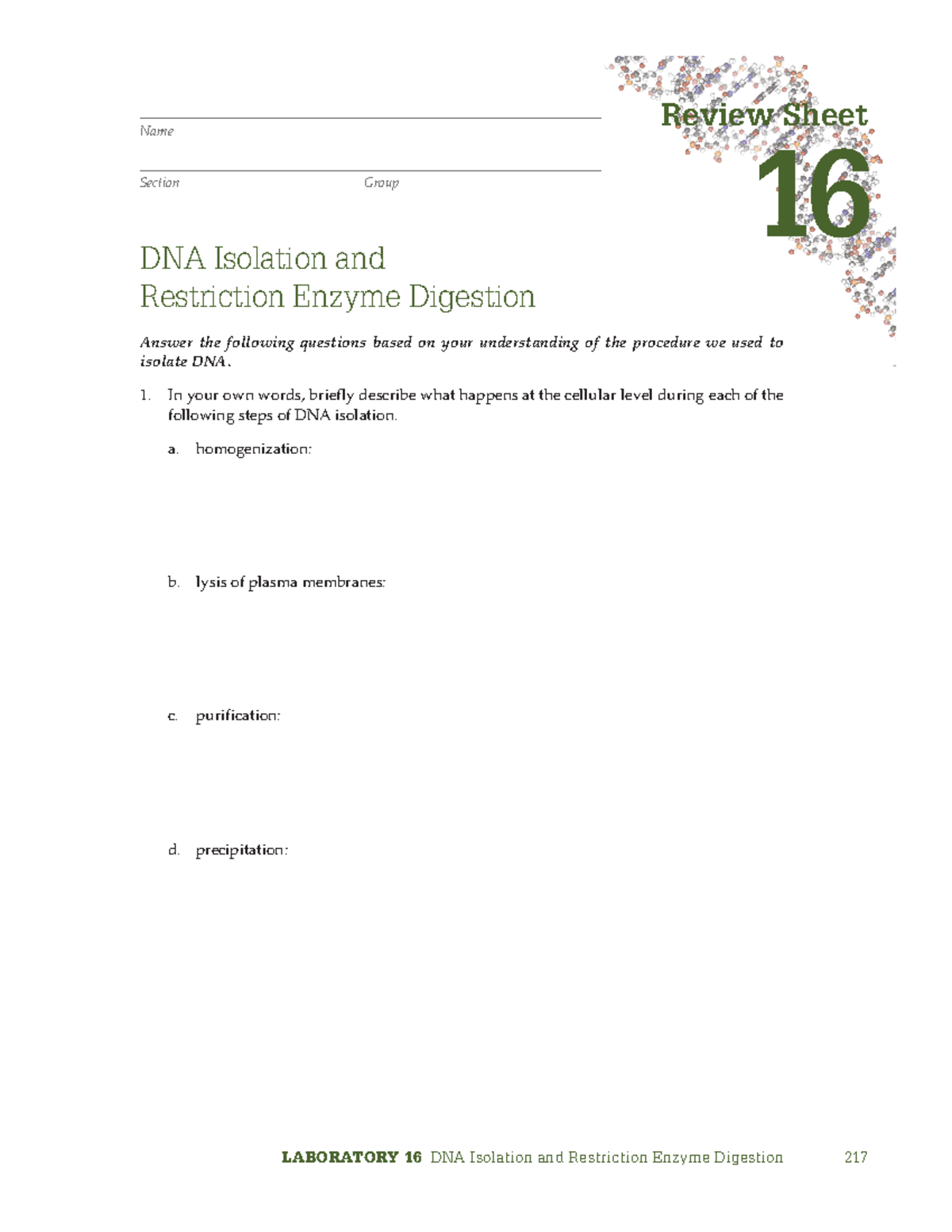 Lab 16 Review Sheet - this is helpful - Name Review Sheet Section Group ...