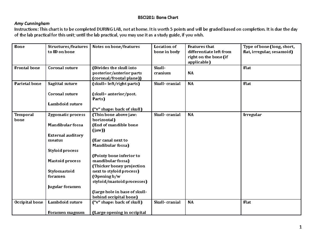 Bone Chart- lab 3 - Practical bone guide - Amy Cunningham Instructions ...