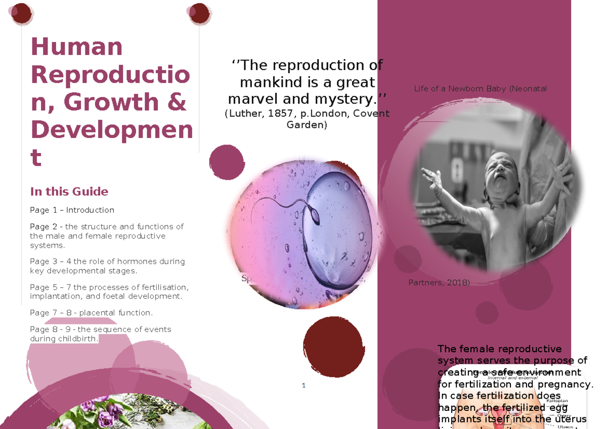 Unit 7 human reproductive re submit - Sperm and Egg (Tamekia Reece ...