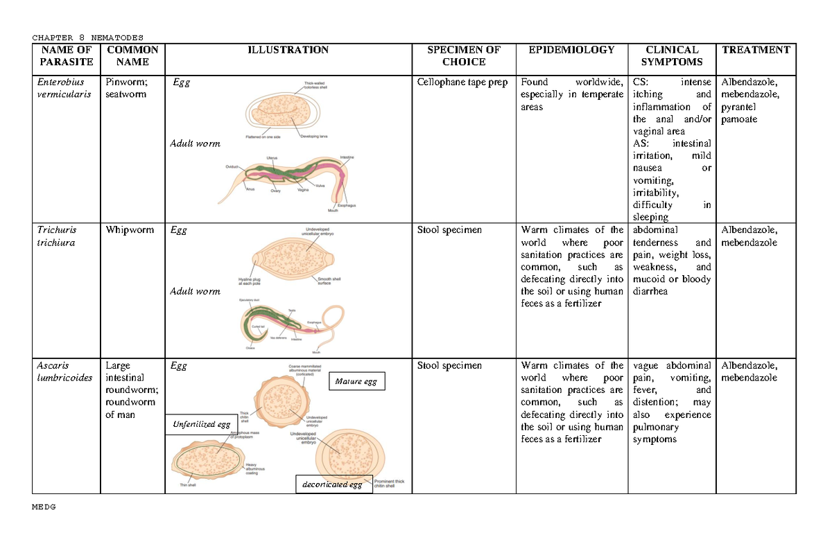 Nematodes - Parasitology Chapter 8 - NAME OF PARASITE COMMON NAME ILLUSTRATION SPECIMEN OF ...