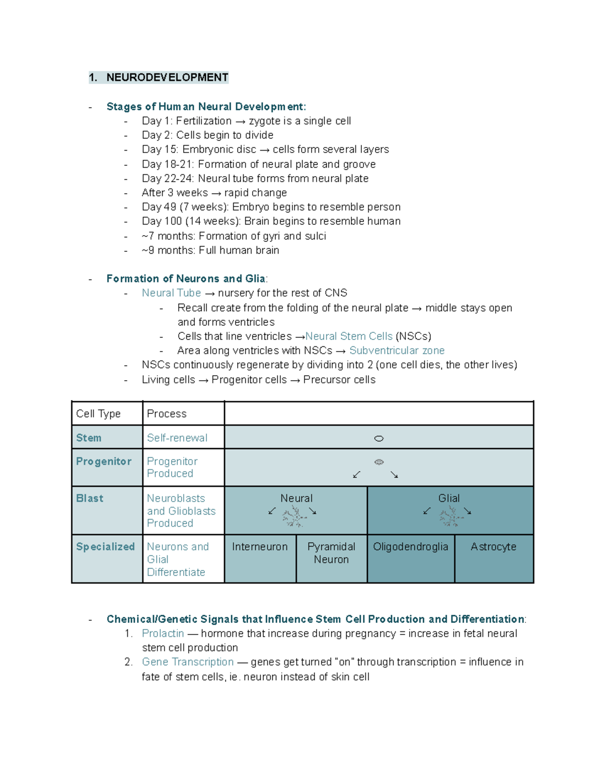 Neur lec 5-6 notes - neurodevelopment - 1. NEURODEVELOPMENT Stages of ...