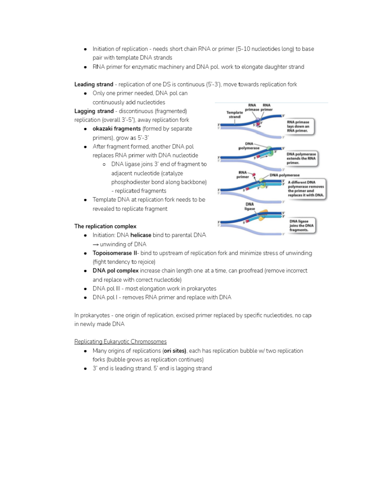 Bio 1A03 lecture module notes 2020-2021 - Bio 1A03 - McMaster - Studocu