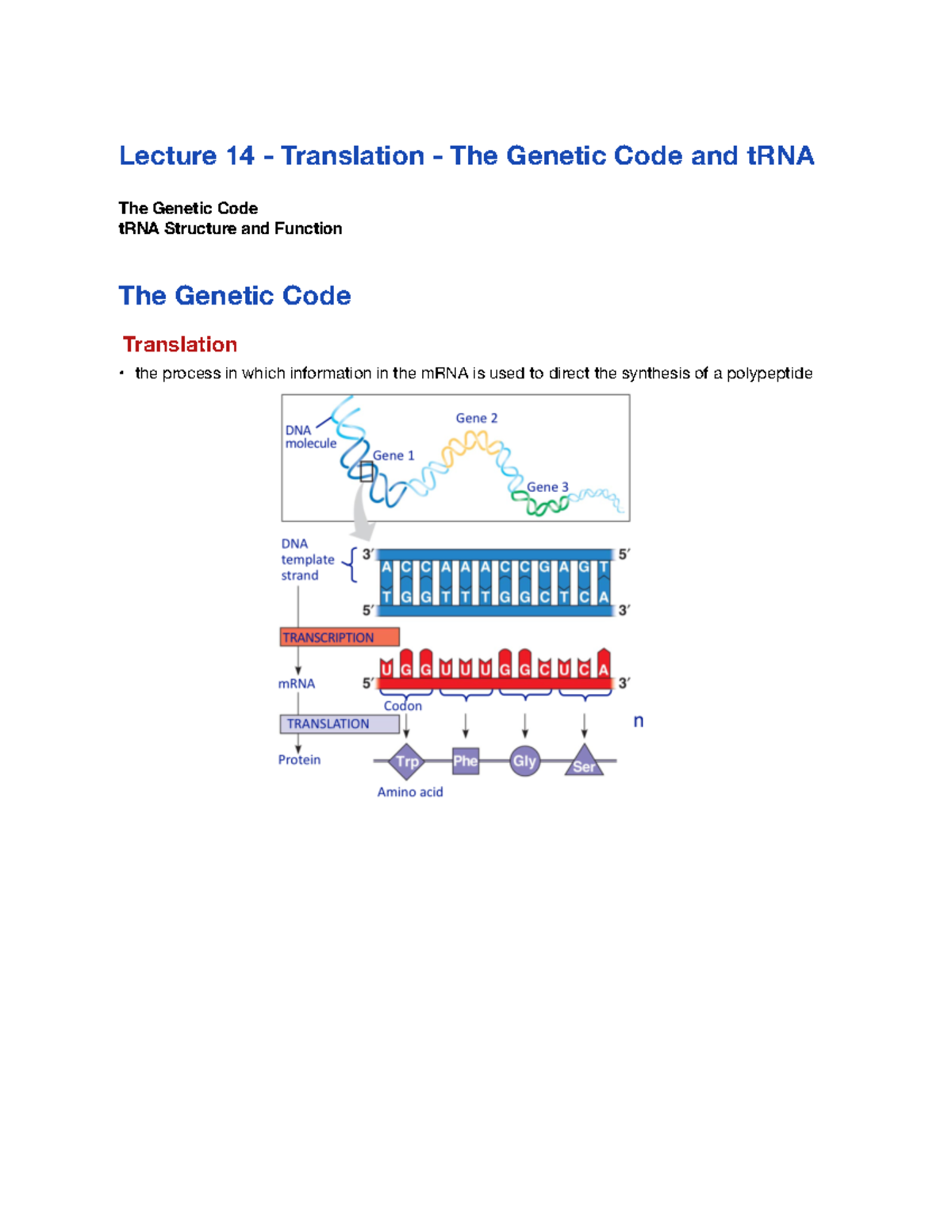 Lecture 14 - The Genetic Code and t RNA 🟢 - Lecture 14 - Translation ...