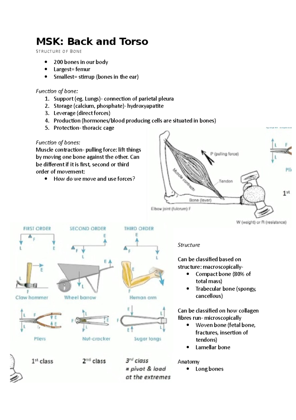 MSK week 1- back and torso - MSK: Back and Torso S TRUCTURE OF B ONE ...