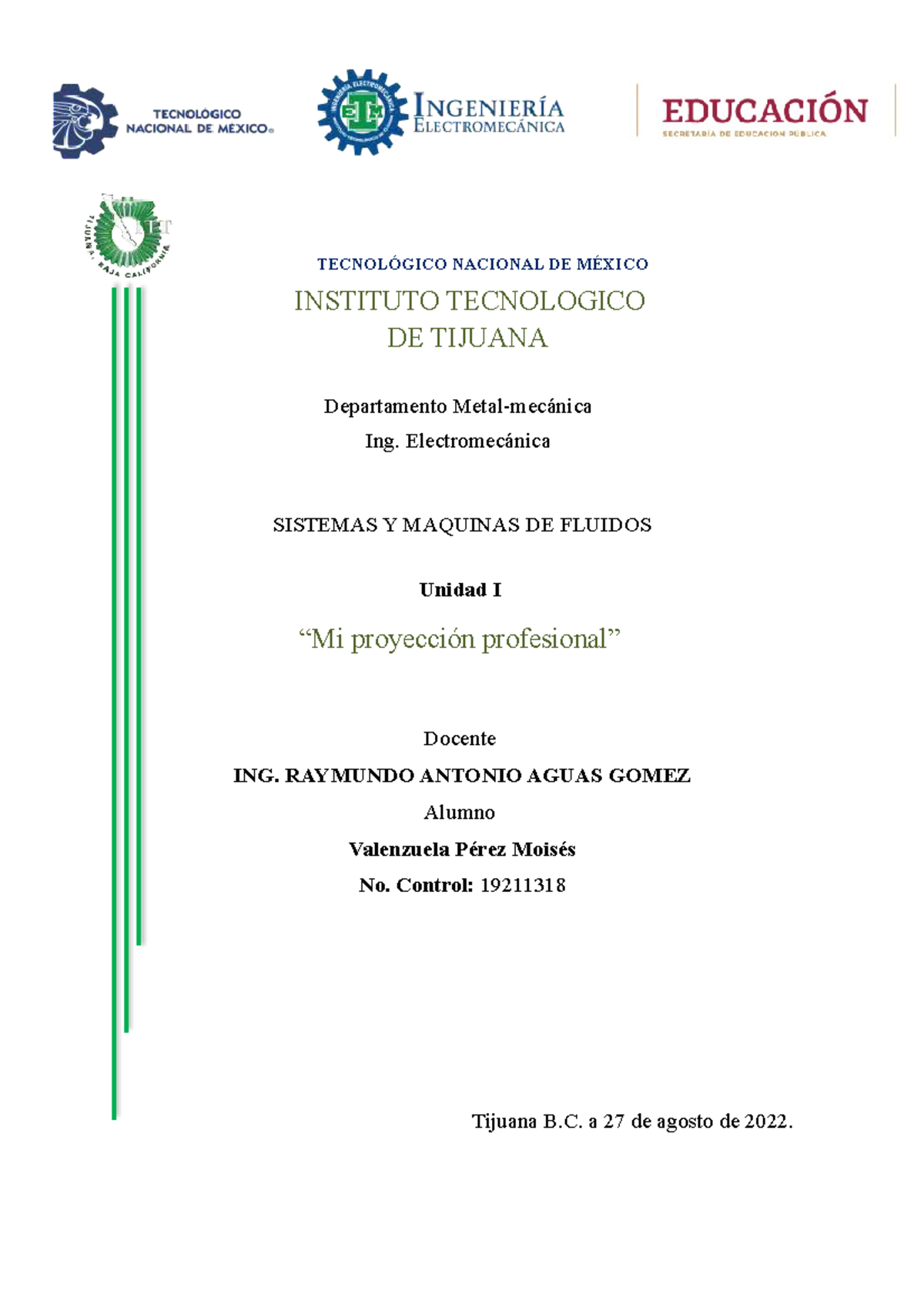 Mi Proyección Profesional - TECNOLÓGICO NACIONAL DE MÉXICO INSTITUTO ...