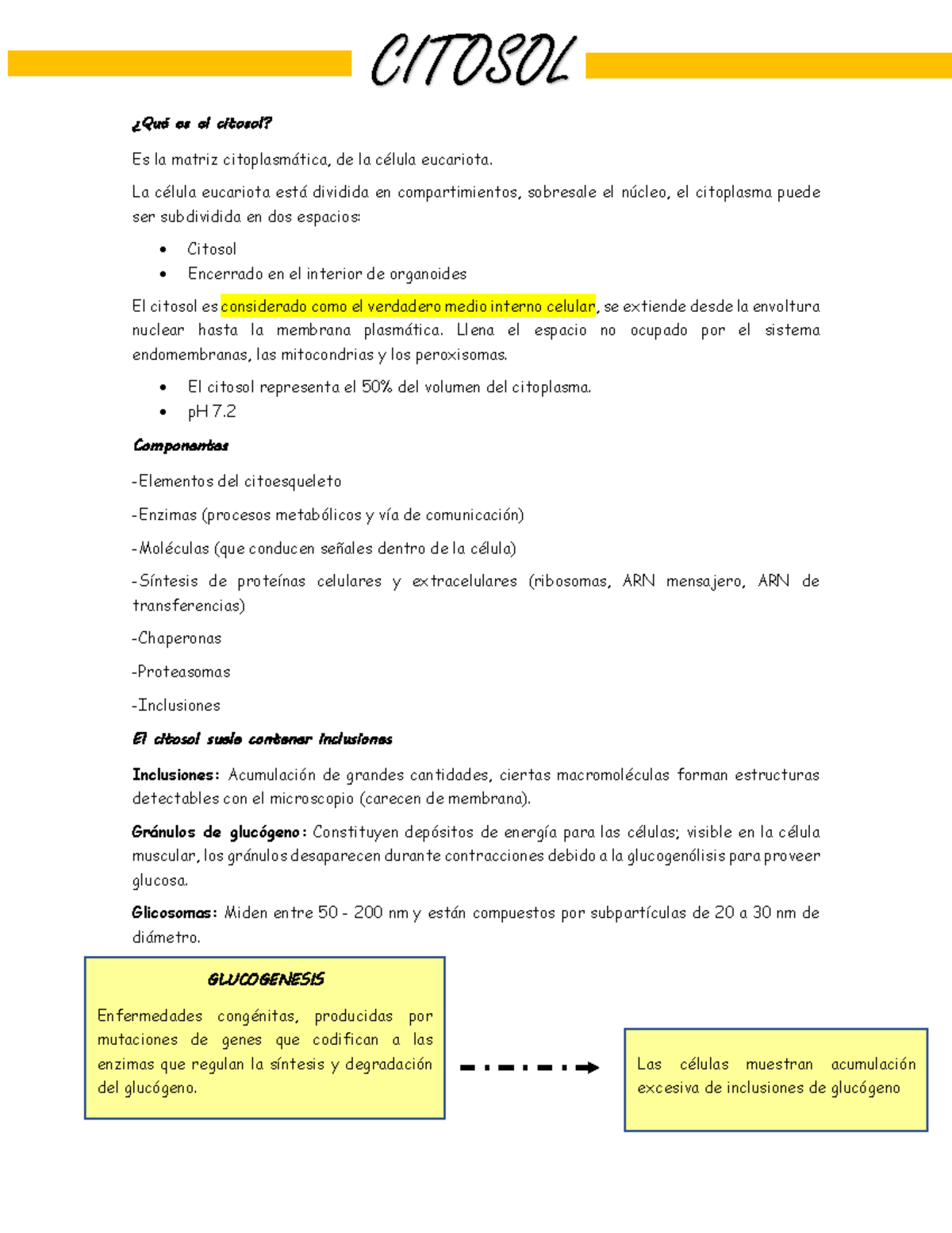 Citosol - ¿Qué es el citosol? Es la matriz citoplasmática, de la célula ...