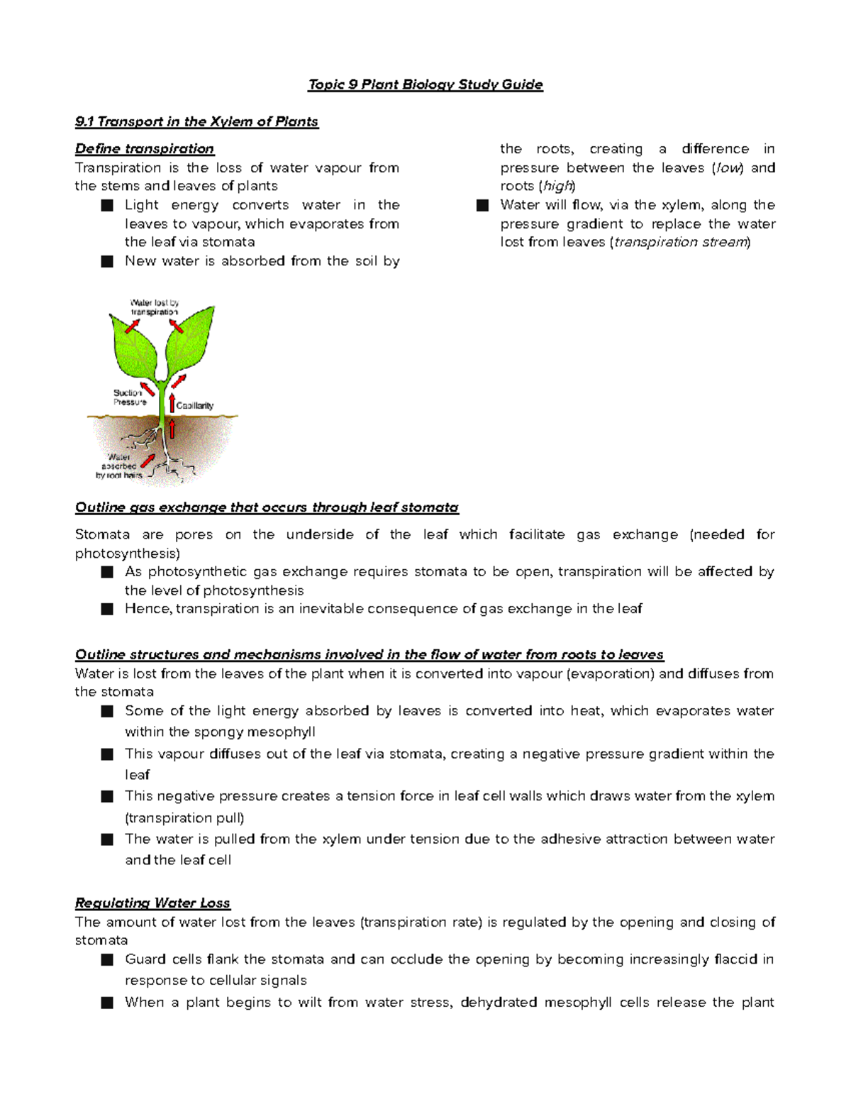 Topic 9 Plant Biology Study Guide - Topic 9 Plant Biology Study Guide 9 ...