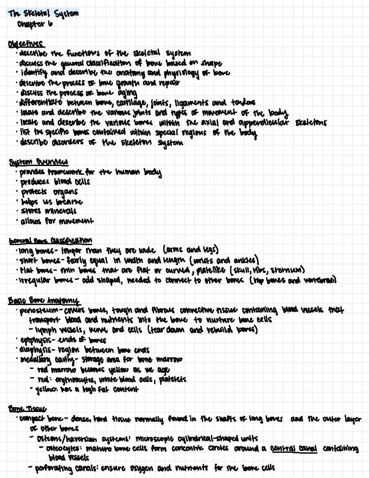Ch 6 Notes The Skeletal System Chapter 6 Objectives Describe The
